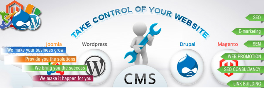 Cms Based Website Development